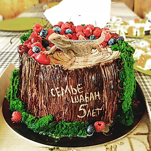 Rismise Lizard Figurine Toys Lizard Animals Figures Lizard Toys Plastic Lizard Model Bearded Dragon Animal Figurines for Cake Decoration Educational Toys Gecko Animal Trick Reptile Prank Props