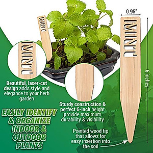 Boldernest Bamboo Herb Garden Markers - Set of 12 Beautiful Herb Garden Labels - Sturdy Herb Markers for Outdoor Garden or Potted Herbs - Lovely Herb Garden Signs