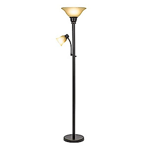 Catalina 18223-002 Transitional Metal Uplight Floor Lamp with Reading Light and Glass Shades, 71", Bronze
