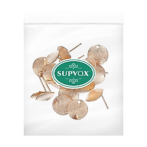 20PCS Alloy Earrings Post Blank Base with Loop Ear Pins earring studs for DIY Jewelry Making (Golden)