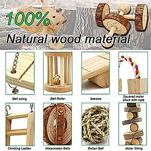 Hamster Chew Toys Set Natural Wooden Hamster Toys and Accessories Teeth Care Molar Toys for Guinea Pigs Syrian Hamster Rats Chinchillas Gerbils Hamster Swing Seesaw Pack of 10