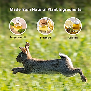 Homsor Rabbit Repellent Outdoor 10 Pack Peppermint Oil Deer Rabbit Away Repellent Balls Pet Safe Bunny Rabbit Deterrent for Garden Yard Lawn to Keep Rabbits Deers from Eating Plants