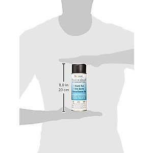 Seymour Paint 11-10 Fresh-N-Quick Multi-Purpose Spray Enamel Flat Black