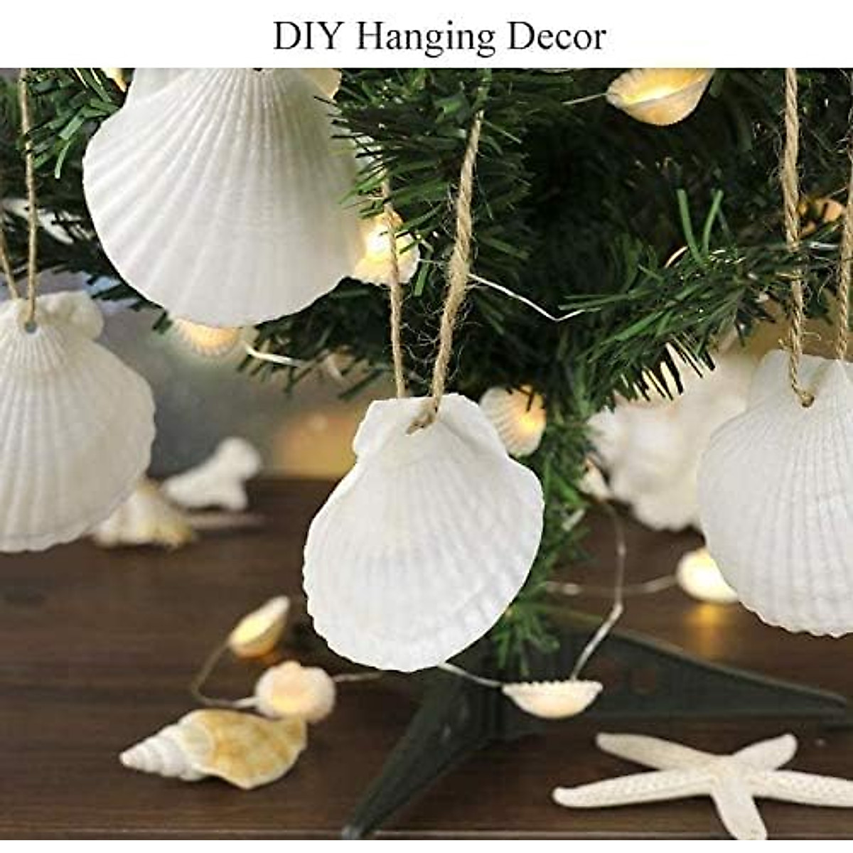 10 PCS 4-5 inch Large Scallop Shells Baking Sea Shells Large Natural White Scallop Shell From Sea Beach For DIY Craft Decor