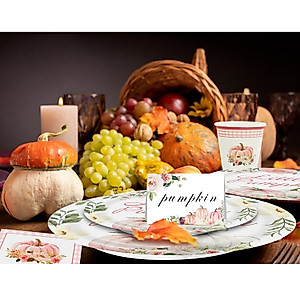 Pumpkin Party Supplies Tableware Set - Fall Theme Party Decorations Including Plates, Napkins and Cups for Pumpkin Birthday and Baby Shower Party, Serves 24 Guests (pink)