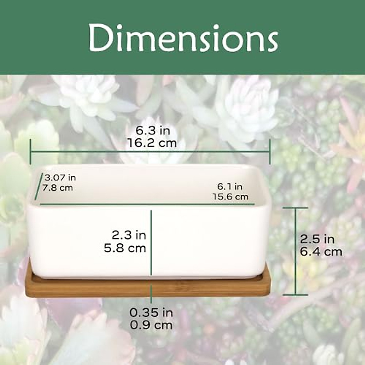 Ceramic Succulent Pots - 1 Pot - Short Rectangle - with Bamboo Tray - White - 6.3"