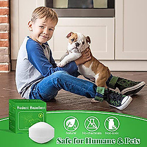 12 Pcs Natural Mouse Repellent Peppermint Oil to Repel Mice and Rats, Rodent Rat Repellent for Car Engines Kitchen Indoor Outdoor, Keep Moles & Voles Out of Your Lawn/Garden, Pet Safe