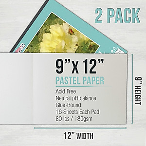 U.S. Art Supply 9" x 12" Premium Pastel Paper Pad, 80 Pound (180gsm), Assorted Natural Tone Paper Colors, Pad of 16-Sheets (Pack of 2 Pads)