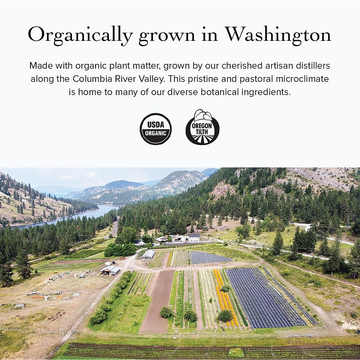 evanhealy Rose Geranium HydroSoul | Copper Distilled Hydrosol | Gentle, Astringent Organic Facial Tonic | Balancing Face Toner for Dry, Oily, Combination, Teen Skin