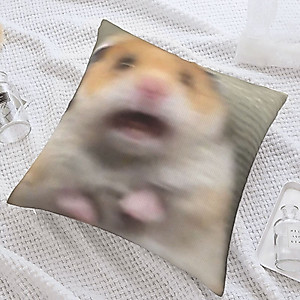 Scared Hamster Cute Throw Pillow Covers Novelty Square Pillow case Home Decorative Bedroom Couch Sofa Cushion case 18x18 in