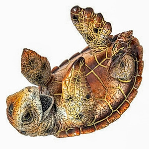 Corner Merchant Sea Turtle Decor Wine Bottle Holder Figurine Home Kitchen Wine Bar Beach House Decor (Brown)