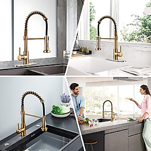DanPiang Gold Kitchen Faucet,Commercial Stainless Steel Single Handle Pull Down Kitchen Sink Faucet with Deck Plate,Brushed Gold