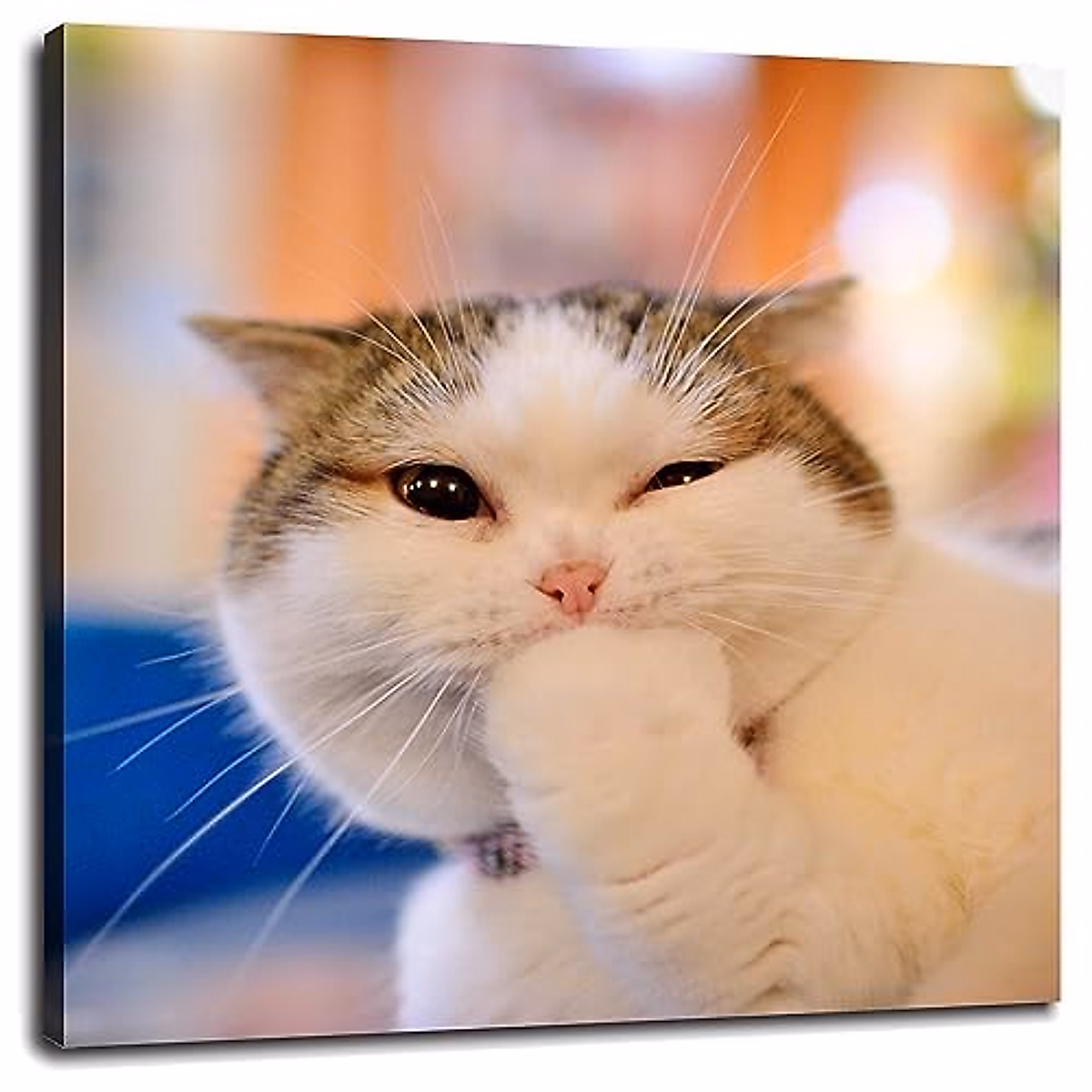 Fisting Cat Funny Animal Poster Print Art Picture 9302 Wall Art Canvas Prints Poster For Home Office Decorations With Framed 16"x16"