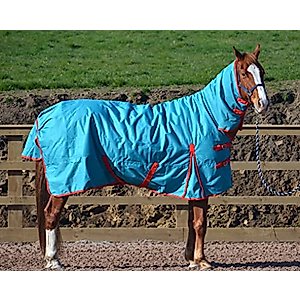 Turners Heavyweight 350g Insulated Fill Turnout Horse Rug 600d Ripstop With Fixed Neck (5'9", Teal)