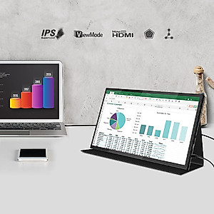 Touch Screen 10.1" - Portable Monitor 1024x600 IPS Capacitive Display, Leather Holder