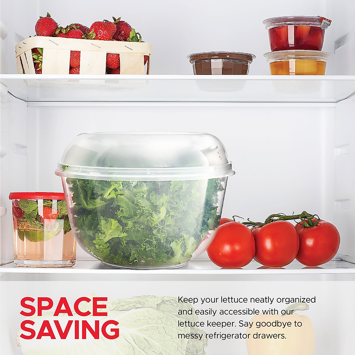 Tafura Lettuce Keeper for Fridge, Lettuce Crisper, Vegetable Saver with Cover, Lettuce Storage Container with Lid, Crisp and Fresh Greensaver, Salad Saver Box.