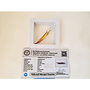 Ram Ratan Kendra Natural MANGAL KAANTA /मंगल काँटा for MAANGLIK DOSH