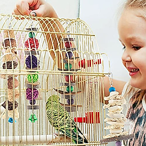 Bissap Bird Chew Toys, 5 Packs Parakeet Natural Wood Toys Parrot Hanging Cage Toy Bird Perch Stand for Small Bird Conure Cockatiel Parrotlet Lovebird Budgie