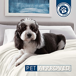 Martex 1B06847 Super Soft Fleece Plush Lightweight Blanket Low Lint Luxury Hotel Style Solid Pet Friendly Bed and Couch Blankets, Twin, Ivory