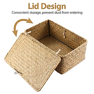 Vosarea Rattan Storage Basket,Straw Seaweed Basket, Hand-Woven Storage Basket Multipurpose Container with Lid for Desktop Home Decor (9inch)