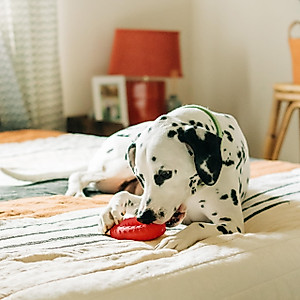 Playology Dual Layer Ring Toy for Medium Dogs up to 50lbs | Engaging All-Natural Beef Scented Durable Dog Chew Toy for Power Chewers, Easy to Clean, Interactive & Non-Toxic