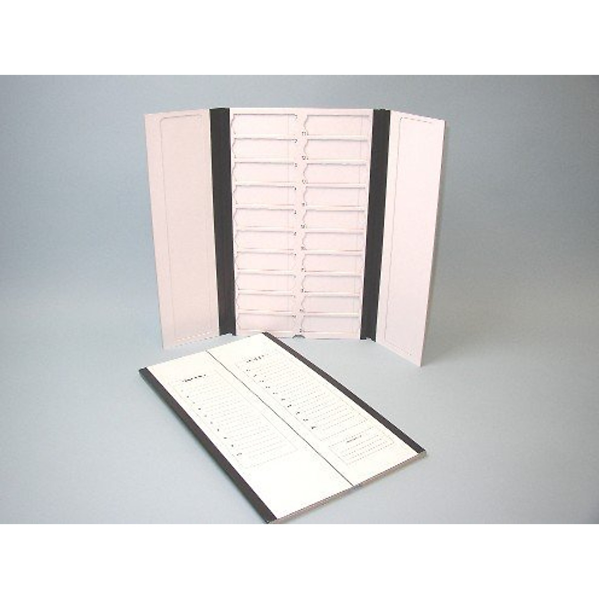 C And A Scientific MSL-20 20 Capacity Slide Folder