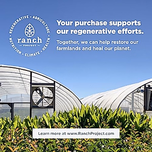 Ancient Nutrition Protein Powder Made from Real Chicken and Beef Bone Broth, Vanilla, 20g Protein Per Serving, 20 Serving Tub, Gluten Free Hydrolyzed Collagen Peptides Supplement