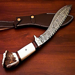 Custom FORGED DAMASCUS Steel Hunting Knife With Stag and Brass Guard Handle very beautiful knife best gift for Father day