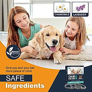 3 Packs Calming Collar for Dogs, Anxiety Relief Pheromone Calming Collars Up to 60 Days Efficient Relieve Stress&Relax for Small Medium Large Dog Comfortable Collar Breakaway Design Gray 25 Inches