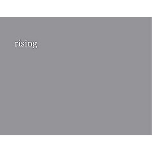 The Sun and Her Flowers