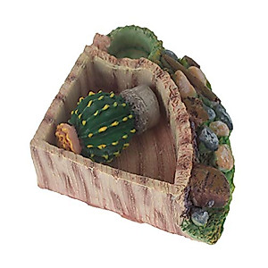 emours Reptile Amphibian Tortoise Lizard Frog Water Dish Food Feeder Cactus Corner Bowl with Ramp Small