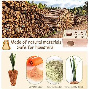 HOORITO Wooden Hamster House,2-in-1 Hamster Hideout House & Chew Toys,Multi-Room Tunnel Exploring Toys for Gerbils Syrian Dwarf Mouse,Small Animal House Habitats Decor for Hamster