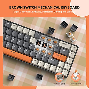 ZIYOU LANG RK-T8 Wired 65% Mechanical Gaming Keyboard with RGB LED Backlit Anti-ghosting TKL Mini 68 Key Custom Coiled C to A Cable Tactile Brown Switch for PS4 PS5 Xbox PC Mac Gamer(White/Dark Gray)