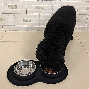 Roysili Double Dog Bowl Pet Feeding Station, Stainless Steel Water and Food Bowls with Non Skid Non Spill Silicone Mat, Premium Quality Dog Bowl Holder for Small Medium Dogs Cats Puppy (Small, Black)