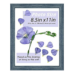 Frametory, 8.5x11 Picture Frame with Glass, Tabletop & Wall Horizontal or Vertical Display, 8 1/2 x 11 Photo Frame for Diploma, Documents (Blue, 1-Pack)
