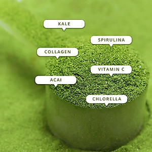 Sculpt Nation by V Shred Greens Strawberry - Premium Greens Powder & Superfood Blend with Collagen to Support Skin, Digestion, and Energy - 30-Day Supply