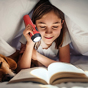 EVEREADY LED Flashlights (4-Pack), Bright Flashlights for Emergencies and Camping Gear, Flash Light with AA Batteries Included, Blue/Yellow (4-Pack)