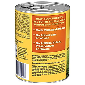 Nature's Recipe Wet Dog Food, Chicken, Rice & Barley Recipe Ground Formula, 13.2 Ounce Can (Pack of 12)