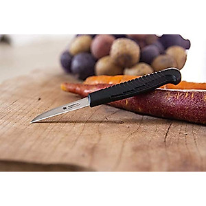 Spyderco Mini Paring Kitchen Knife with 2.25" Stainless Steel Blade with Durable Black Polypropylene Handle - PlainEdge - K09PBK