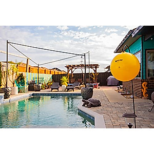 Bug Ball 3 Pack Deluxe Sampler Kit Complete- Odorless Eco-Friendly Biting Fly and Insect Killer with NO Pesticides or Electricity Needed, Kid and Pet Safe