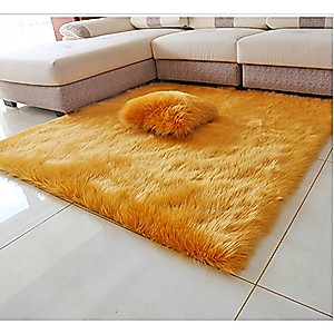 Orange Rugs for Bedroom Fluffy, Fuzzy Plush Soft Shaggy Area Rug Living Room Carpet Kids Bedroom Nursery Shag Rug Home Decor,Gold