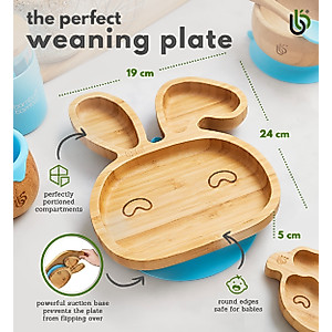 Bamboo Baby Plate with Suction - Kids and Toddler Suction Cup Plate for Babies, Non-toxic All-Natural Bamboo Baby Food Plate Stays Cool to the Touch for Baby-Led Weaning (Bunny-Orange)
