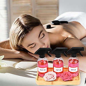 Norme 12 Pcs 8 oz Glass Spray Bottles with Funnels and Labels Refillable Cosmetic Empty Spray Bottles with Sprayer Containers for Essential Oil Cleaning Solutions(Clear,Classic)