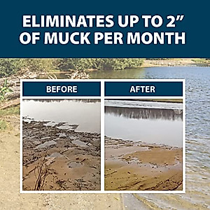 Airmax MuckAway Natural Beneficial Bacteria for Outdoor Ponds & Lakes, Muck, Sludge & Noxious Odor Solution, Easy to use Enzyme Tablets, Cleaner Beach & Shoreline, Fish, Pet & Wildlife Safe, 8 Scoops
