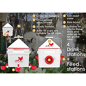 RentACoop Chick2Chicken 10lb Feeder & 2 Gal Waterer Set with Gravity Feed Refill & Auto-Fill Cups - BPA-Free Food & Water Buckets for Up to 20 Chicks or 12 Adult Chickens