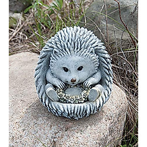Roman Garden - Hedgehog in Rain Boots Statue, 7.5H, Pudgy Pals Collection, Resin and Stone, Decorative, Garden Gift, Home Outdoor Decor, Durable, Long Lasting