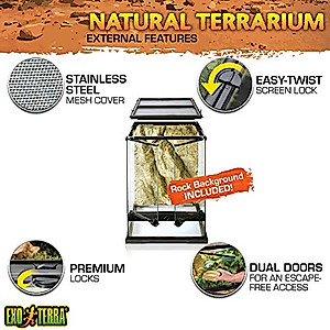 Exo Terra Glass Terrarium Kit, for Reptiles and Amphibians, Mini Tall, 12 x 12 x 18 inches, PT2602A1