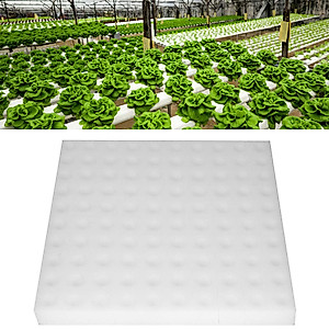 Fdit 100Pcs Hydroponic Sponge Planting Sponge Gardening Tool Seedling Sponges for Greenhouse