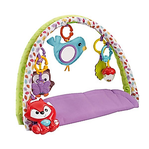 Fisher-Price 3-in-1 Musical Activity Gym, Woodland