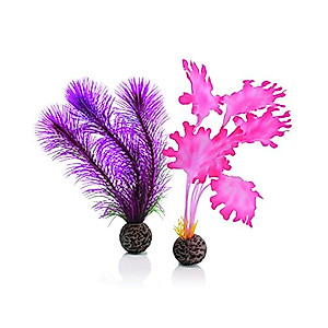 biOrb 46081.0 Kelp Set Small Pink Aquariums